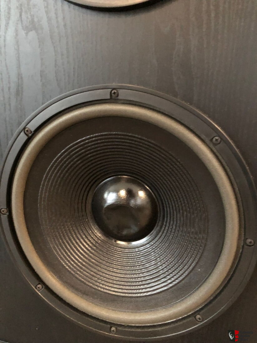 Vivid Reference TX-5000 4 way Speakers Photo #2425046 - Canuck Audio Mart