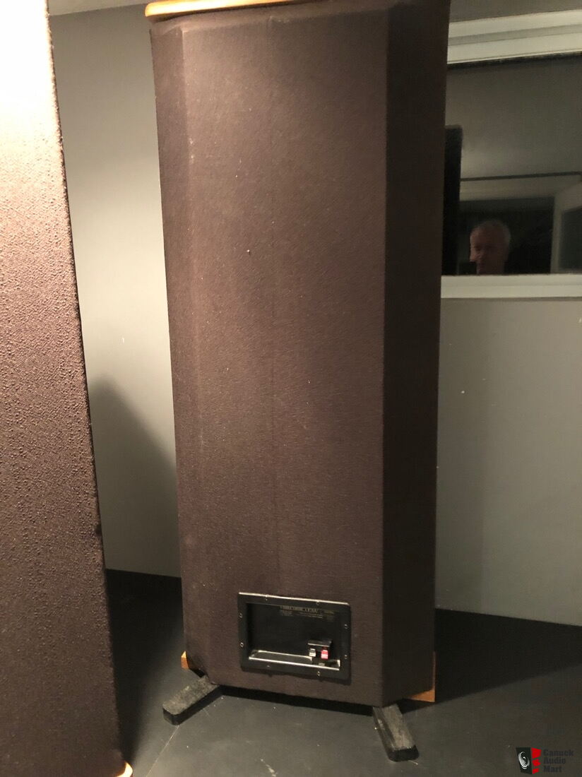 DCM Timeframe TF500 Stereo speakers TRANSMISION LINE Speakers $250 ...