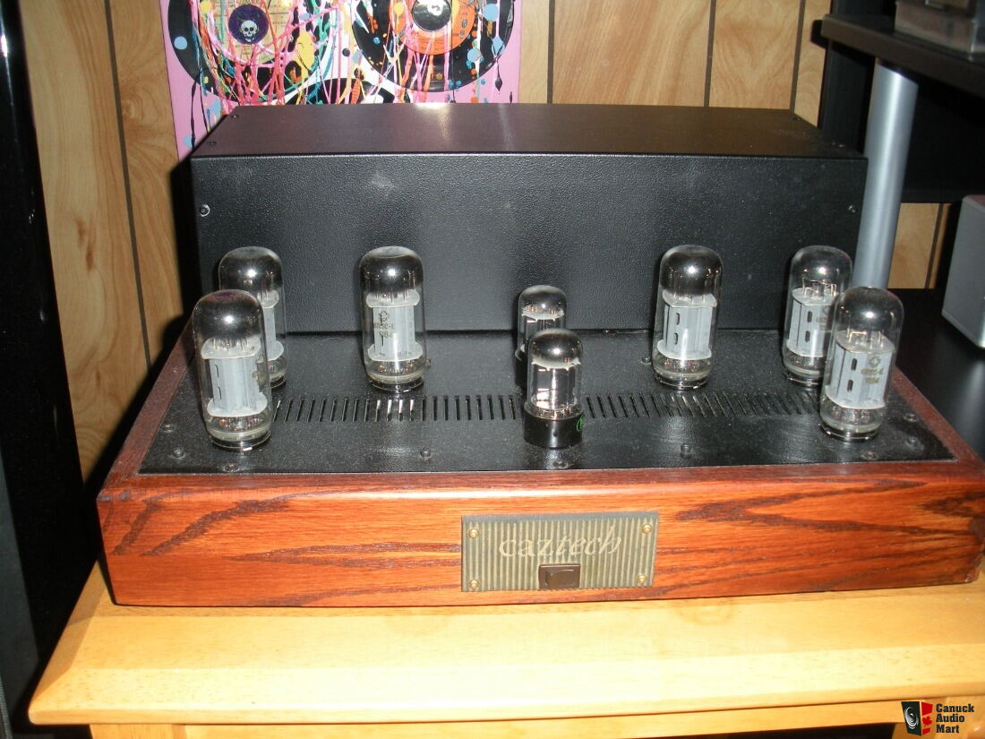Caztech SEP-40 Photo #2441609 - Canuck Audio Mart