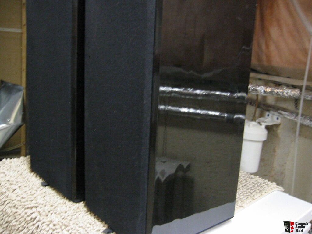 ANGSTROM SPEAKER MONITORS RADIX 200 $100 Photo #244313 - Canuck Audio Mart