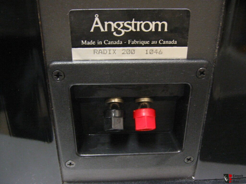 ANGSTROM SPEAKER MONITORS RADIX 200 $100 Photo #244313 - Canuck Audio Mart