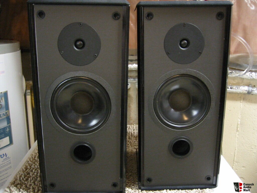 ANGSTROM SPEAKER MONITORS RADIX 200 $100 Photo #244313 - Canuck Audio Mart