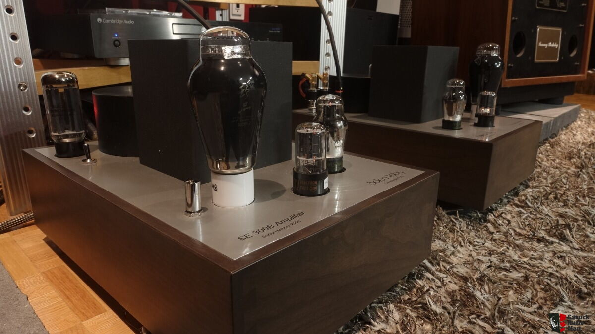 Custom High End 300B Monoblocks Photo #2444544 - US Audio Mart