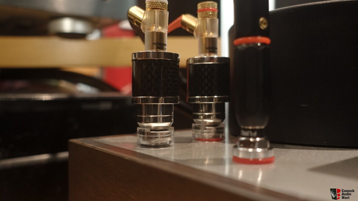 Custom High End 300B Monoblocks Photo #2444547 - Canuck Audio Mart