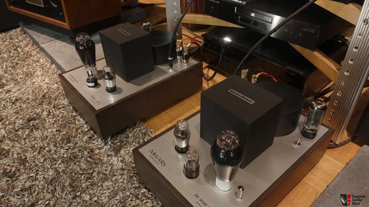 Custom High End 300B Monoblocks Photo #2444546 - US Audio Mart