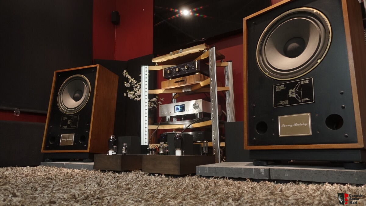 Custom High End 300B Monoblocks Photo #2444545 - UK Audio Mart