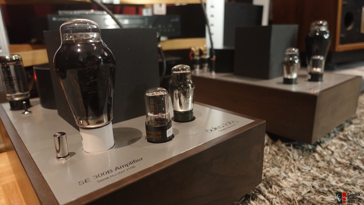 Solea Labs Custom High End 300B Monoblocks Photo #2444550 - Canuck ...