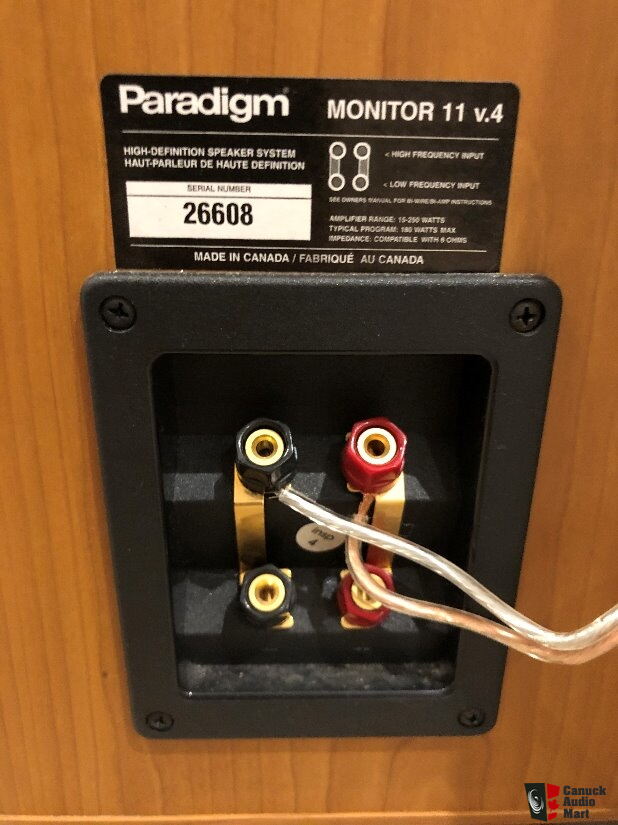 Paradigm Monitor 11 V4 Photo #2448547 - US Audio Mart