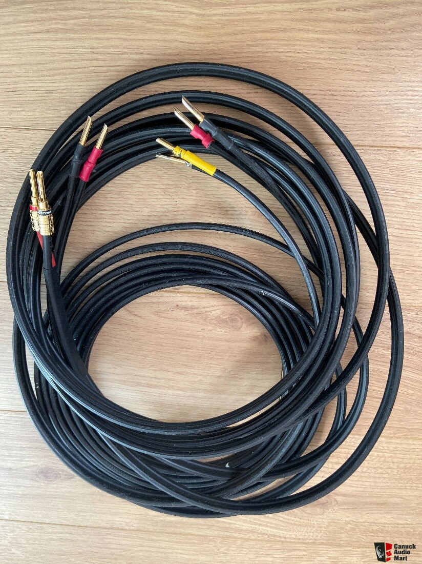 Naim, NAC A5 Cables 5.5 Meters (18 ft) with bananna terminations Photo ...