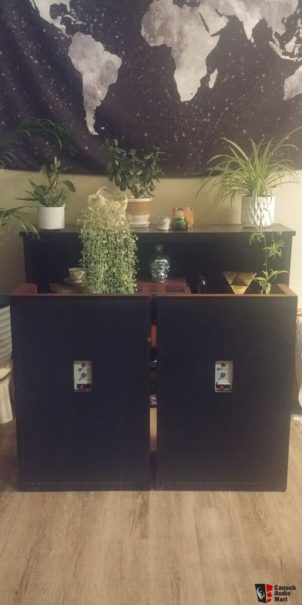 RARE Vintage EPI M201 Speakers - GORGEOUS Photo #2458456 - UK Audio Mart