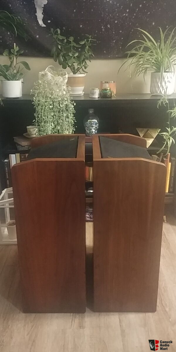 RARE Vintage EPI M201 Speakers - GORGEOUS Photo #2458464 - Canuck Audio ...