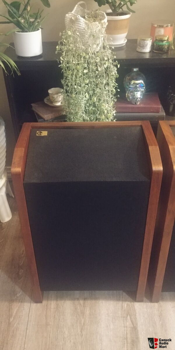RARE Vintage EPI M201 Speakers - GORGEOUS Photo #2458460 - Canuck Audio ...