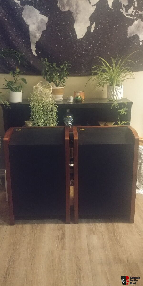 RARE Vintage EPI M201 Speakers - GORGEOUS For Sale - Canuck Audio Mart