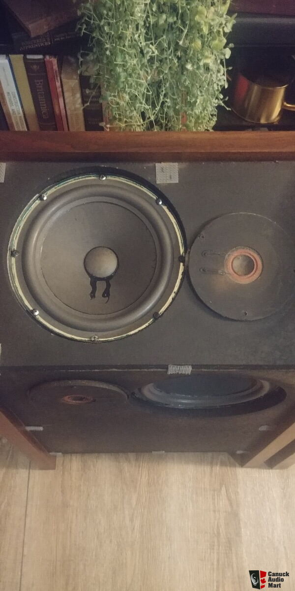 RARE Vintage EPI M201 Speakers - GORGEOUS Photo #2458455 - UK Audio Mart