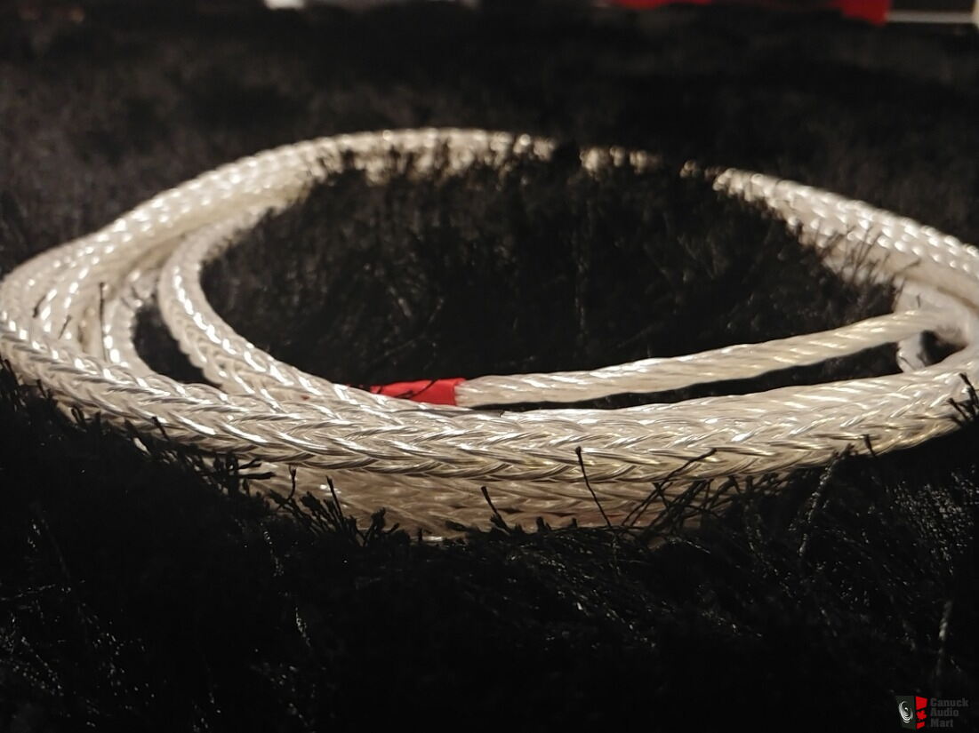 High Quality Japan Pure Silver Speaker Cables 2.5m or 8ft (PAIR ...