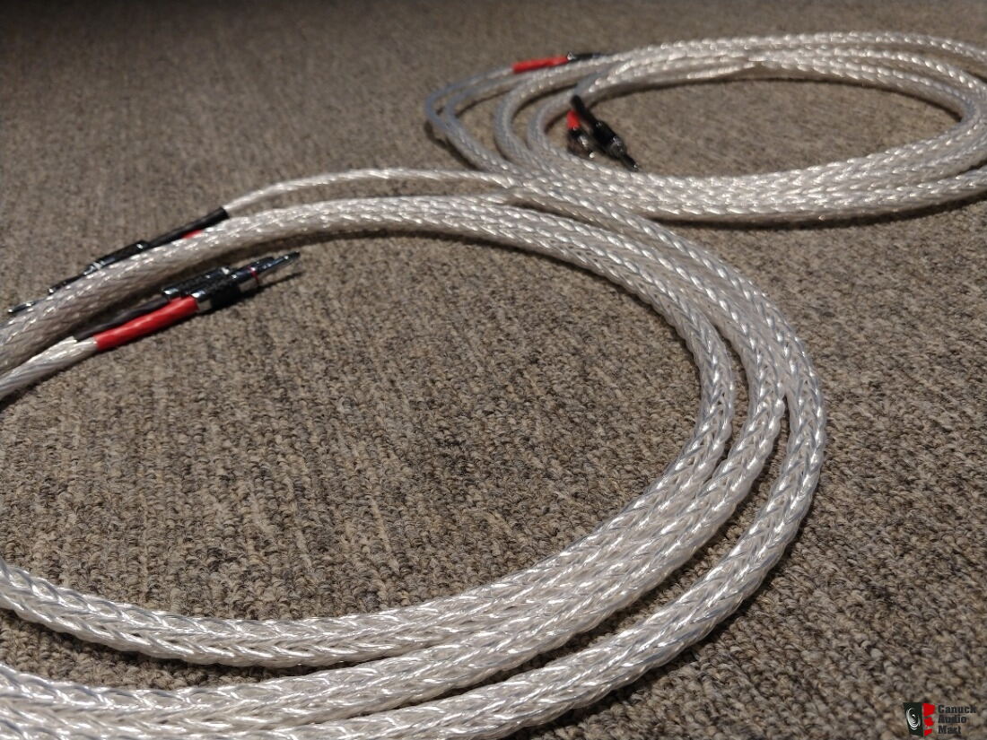 High Quality Japan Pure Silver Speaker Cables 2.5m or 8ft (PAIR) Photo ...