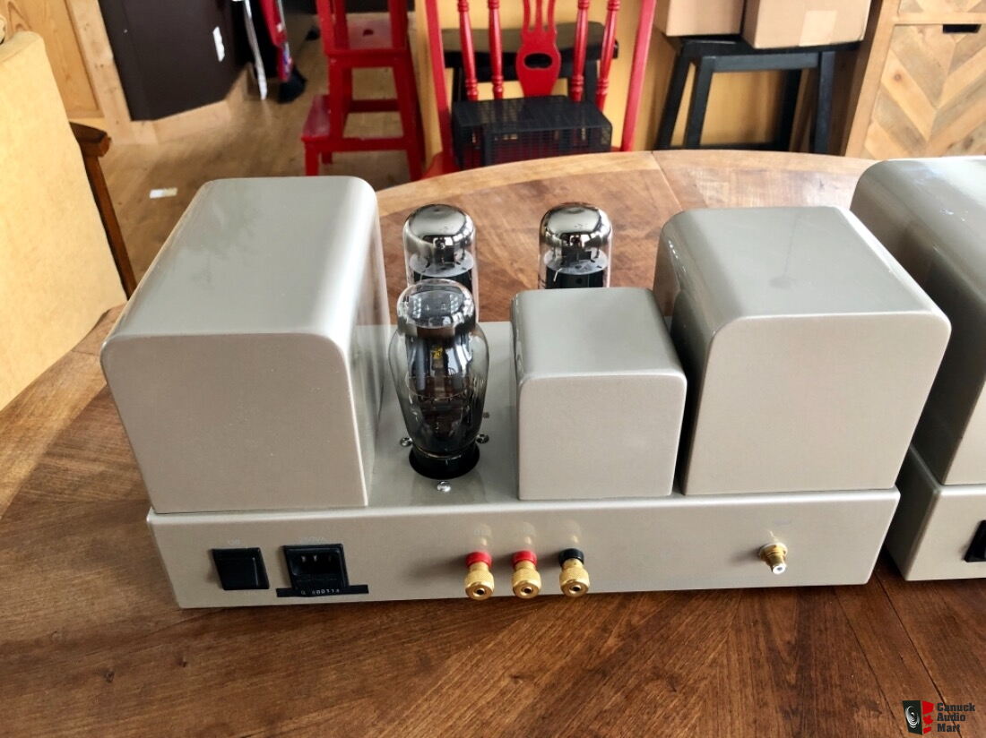 QUAD II Forty Mono Blocks Photo #2464328 - Canuck Audio Mart