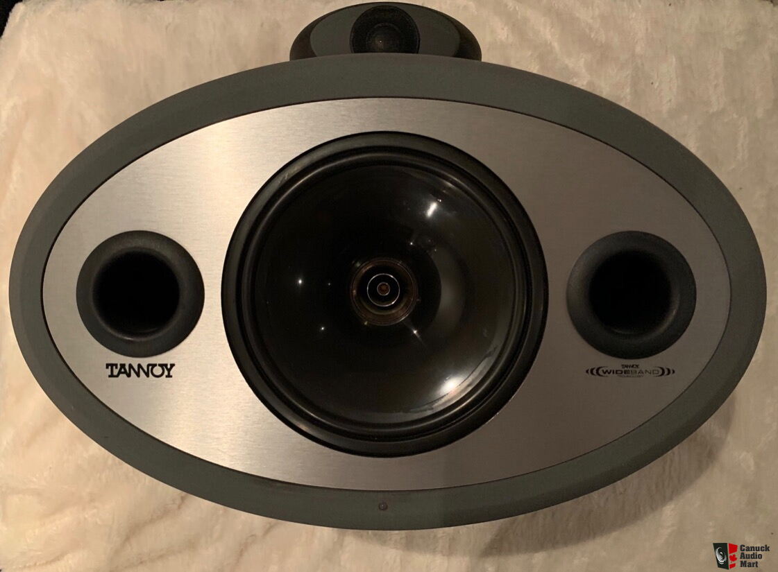 Tannoy Ellipse 10 Active Photo #2480110 - Canuck Audio Mart