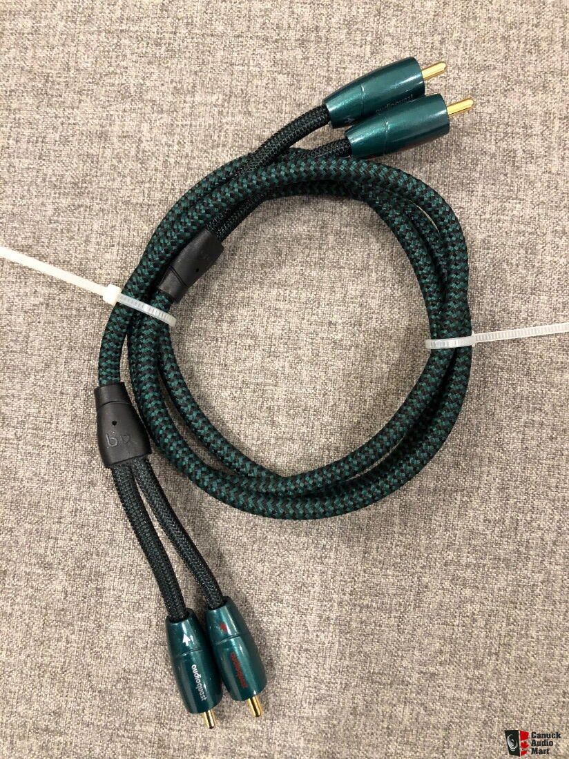 Audioquest Evergreen RCA-RCA Connector (1 m) Photo #2481185 - US Audio Mart