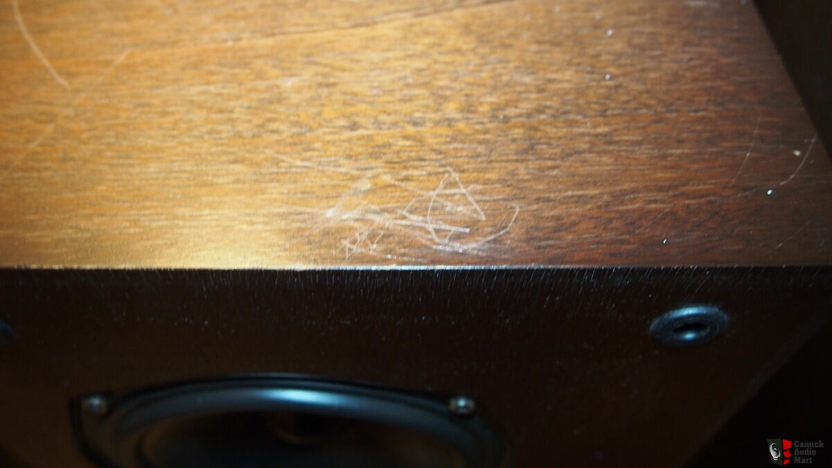 Castle DURHAM 900 speakers Photo #2481320 - Canuck Audio Mart