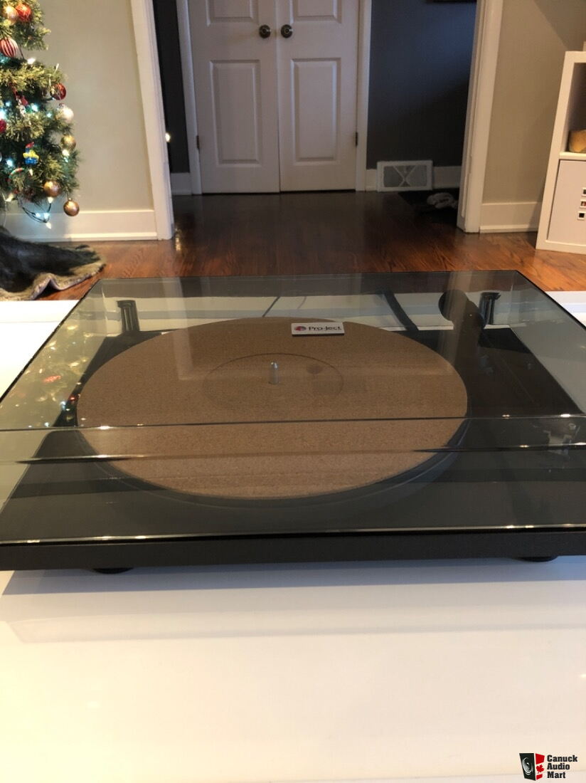 Pro-Ject Primary Turntable (Cartridge Upgrade) For Sale - US Audio Mart