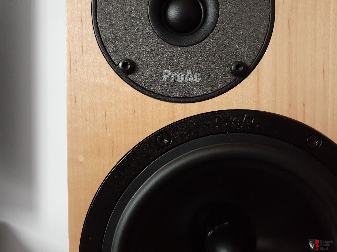 Proac studio 118 Photo #2504290 - Canuck Audio Mart
