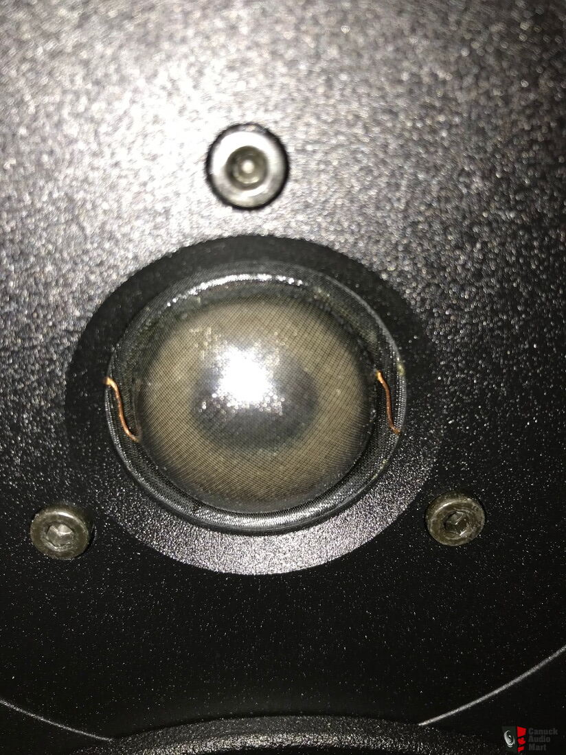 Dynaudio Audience 42 Bookshelf Speakers Good Condition Photo 2505136 dynaudio-audience-42-bookshelf-speakers-good-condition-photo-2505136