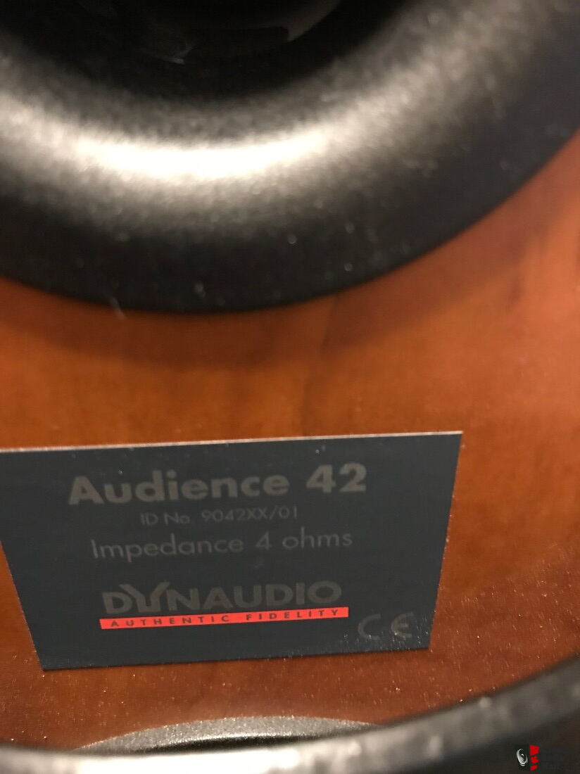 Dynaudio Audience 42 Bookshelf Speakers - Good Condition Photo #2505138 ...