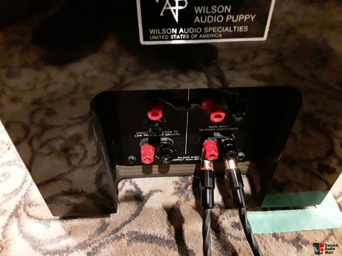 Wilson Watt 3/Puppy 2 Photo #2509986 - Canuck Audio Mart