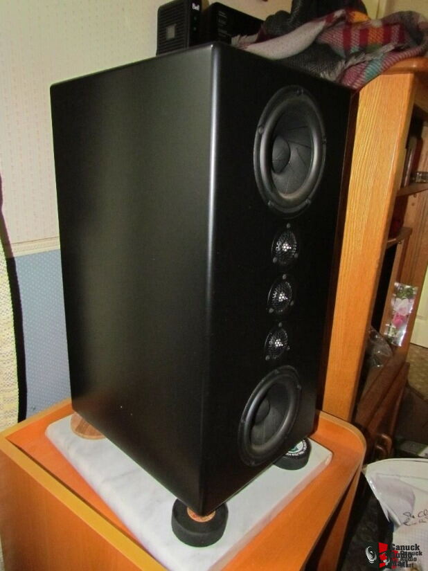 Tekton Design Custom Made Monitor For Sale - Canuck Audio Mart