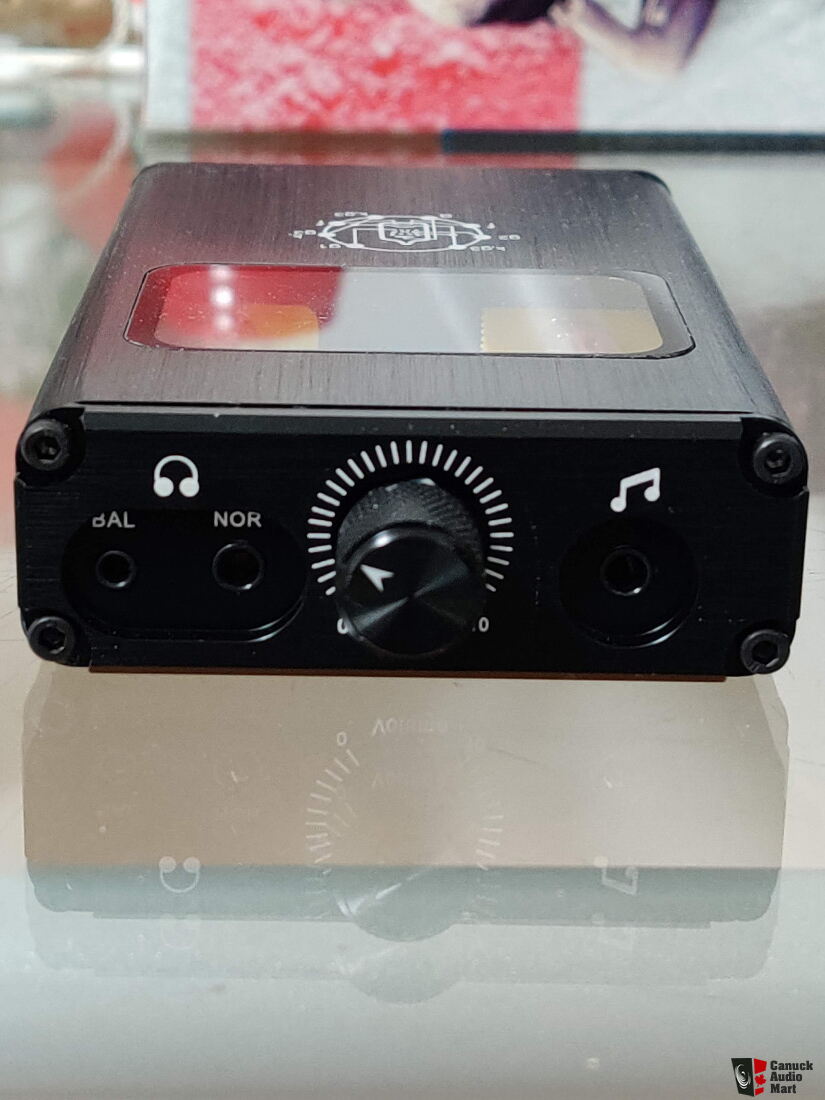 Little Bear B4-X Portable Tube Amplifier Photo #2534275 - Canuck Audio Mart