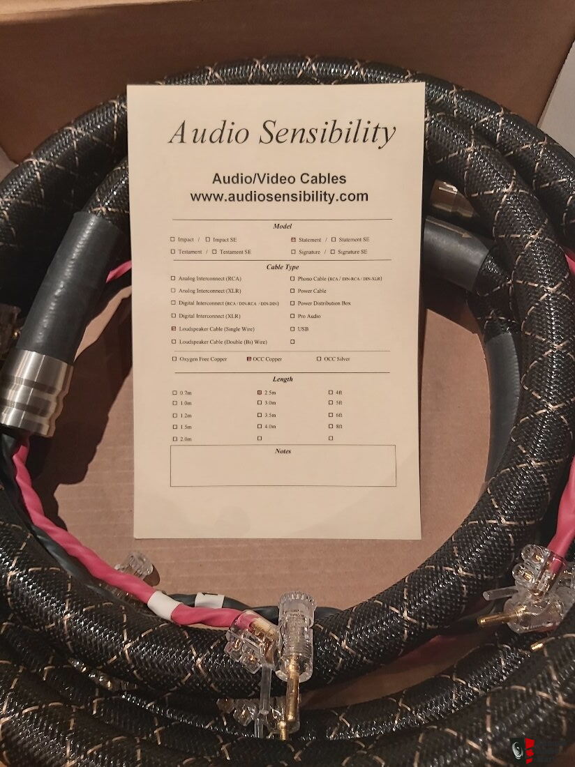 Audio Sensibility Statement Speaker Cable Photo #2538117 - US Audio Mart