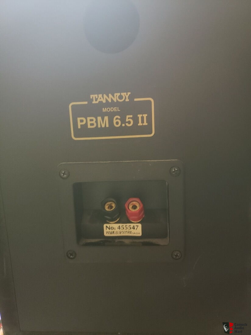 Tannoy PBM 6.5 ii Photo #2539534 - Aussie Audio Mart