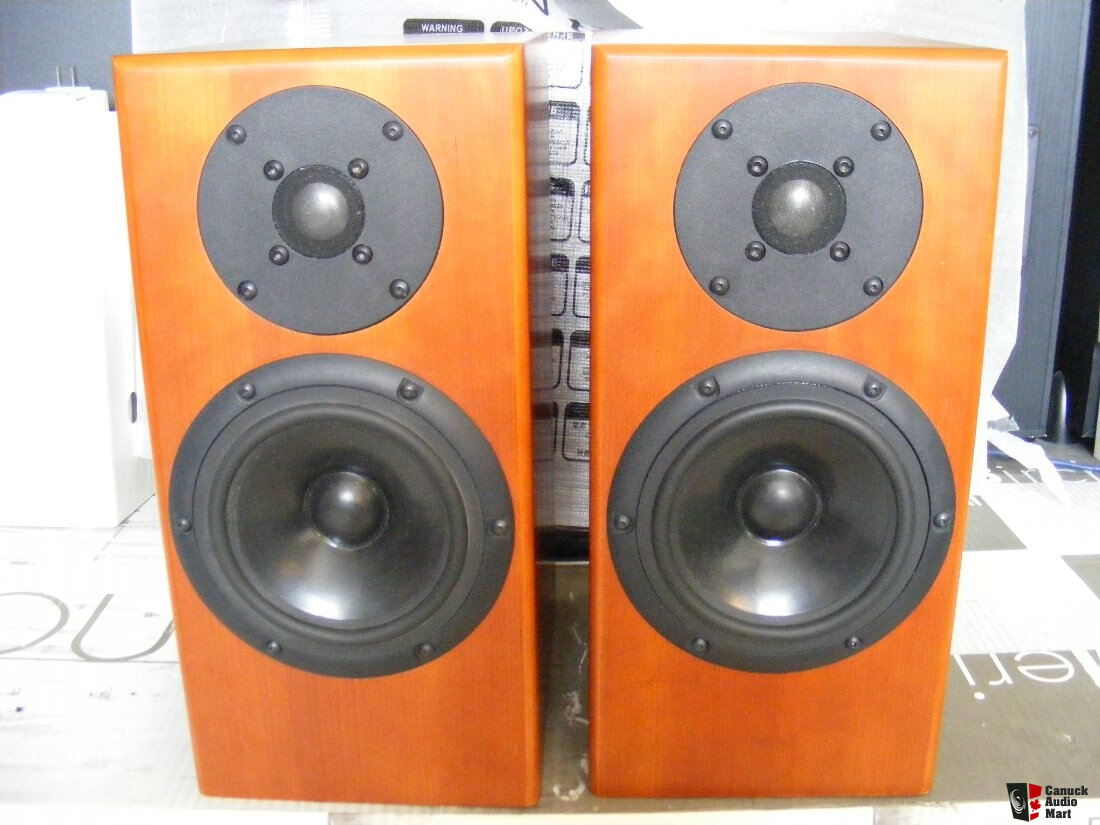 Totem Rainmaker in cherry wood finish For Sale - Canuck Audio Mart