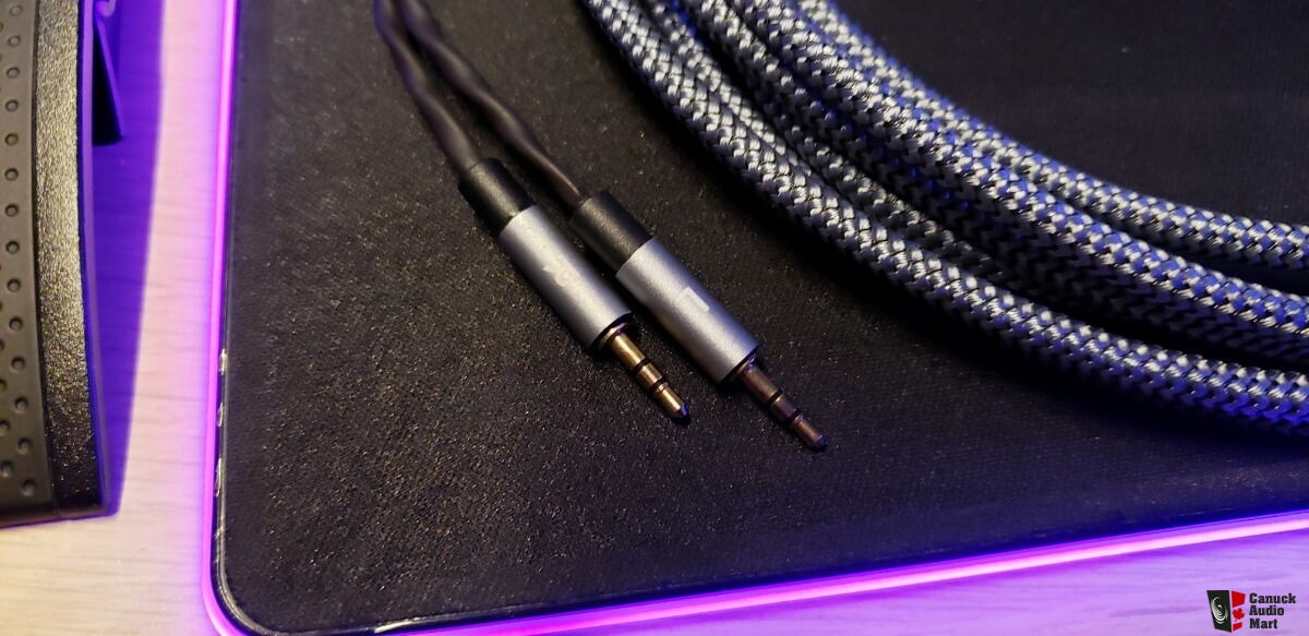 Asona Headphone Cable - [HiFiMan] Dual 2.5mm to 1/4 Photo #2542364 ...