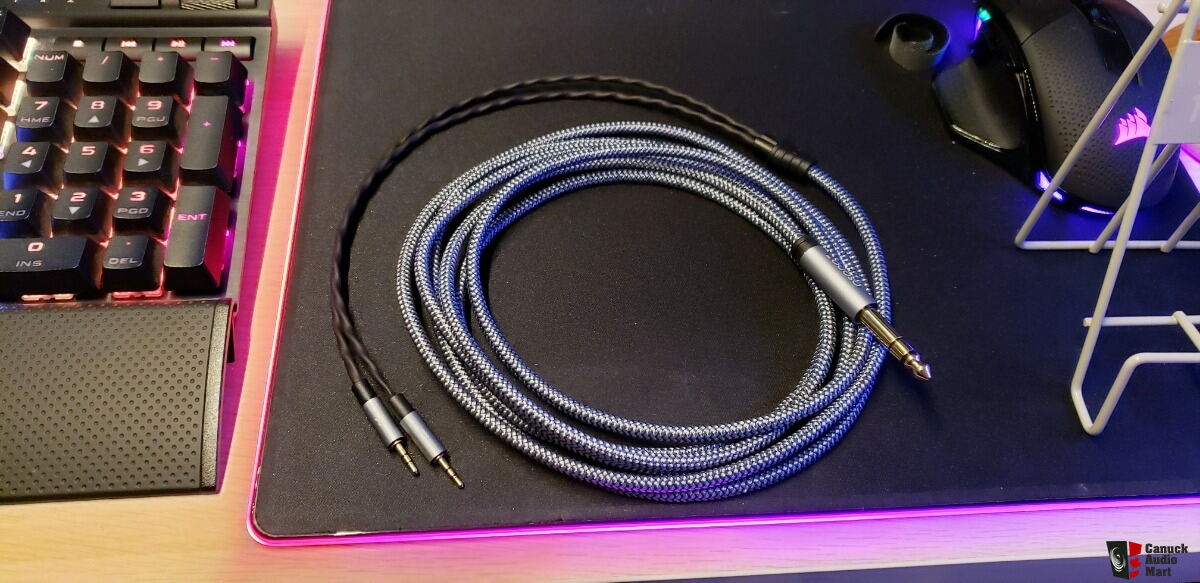 Asona Headphone Cable - [HiFiMan] Dual 2.5mm to 1/4 Photo #2542364 ...