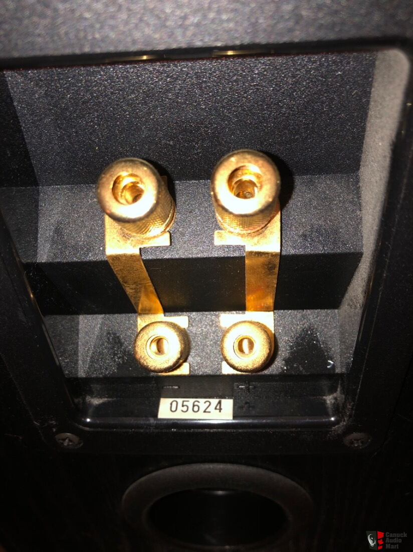 Angstrom main and rear and centre speaker with stands and a Miraga OMNI ...