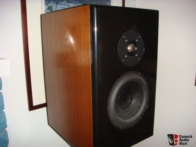 Usher 701 speaker custom made Photo #255596 - Canuck Audio Mart
