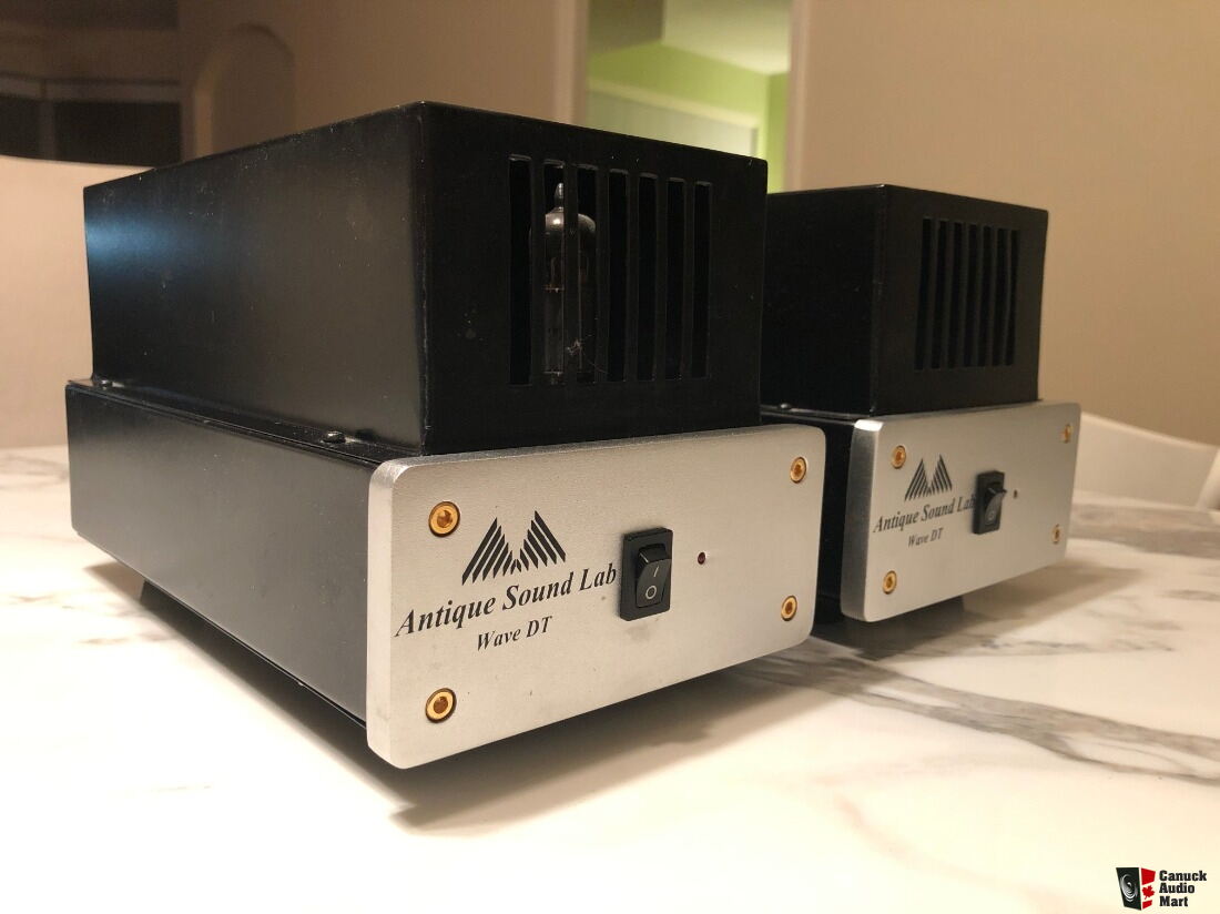 ASL Wave DT tube monoblock amp (pair) Photo #2557996 - Aussie Audio Mart