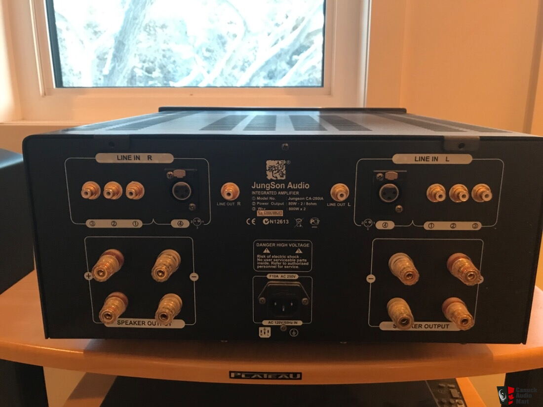 Jungson 88D luxury edition integrated amplifier Photo #2570735 - UK ...