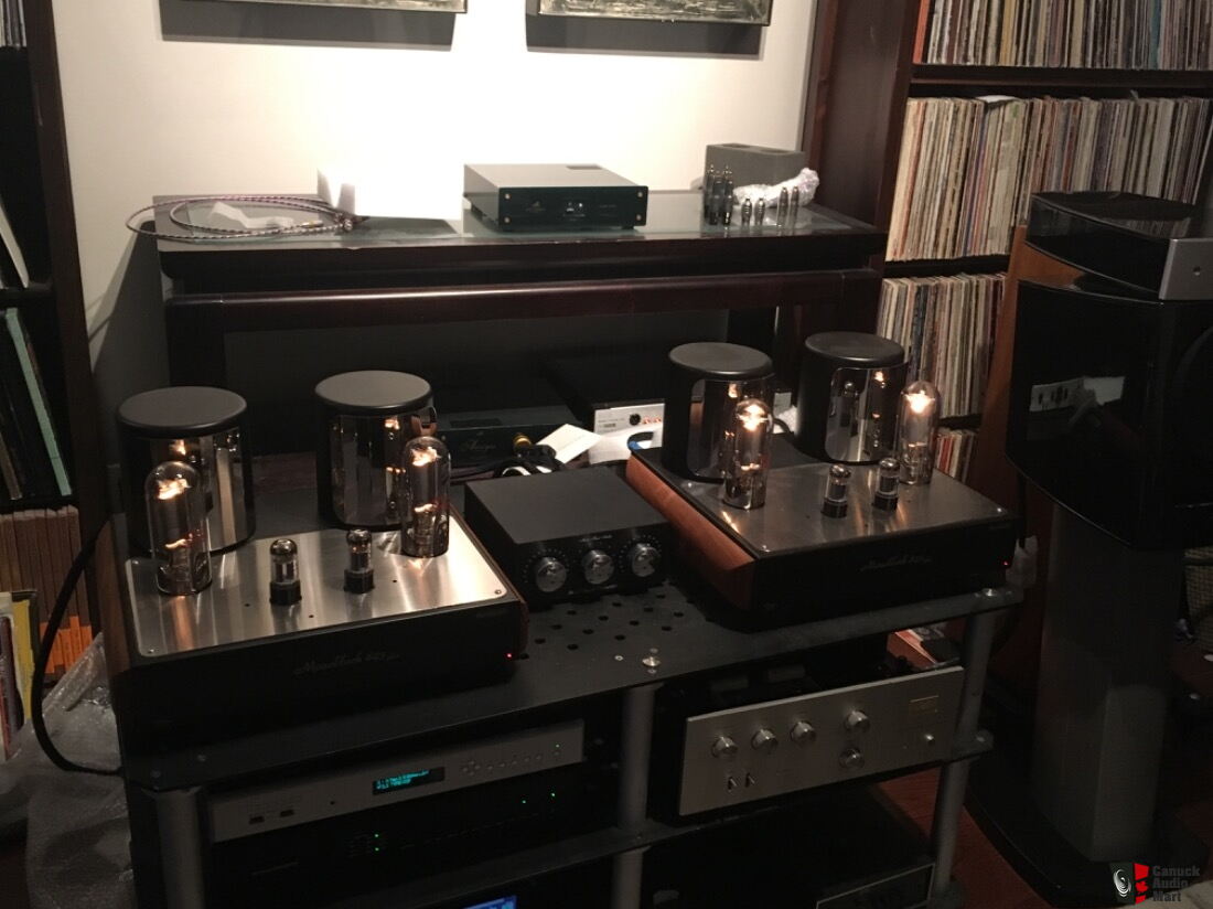 Mastersound Monoblock 845 Plus (gorgeous look and sound) (also a 300B ...