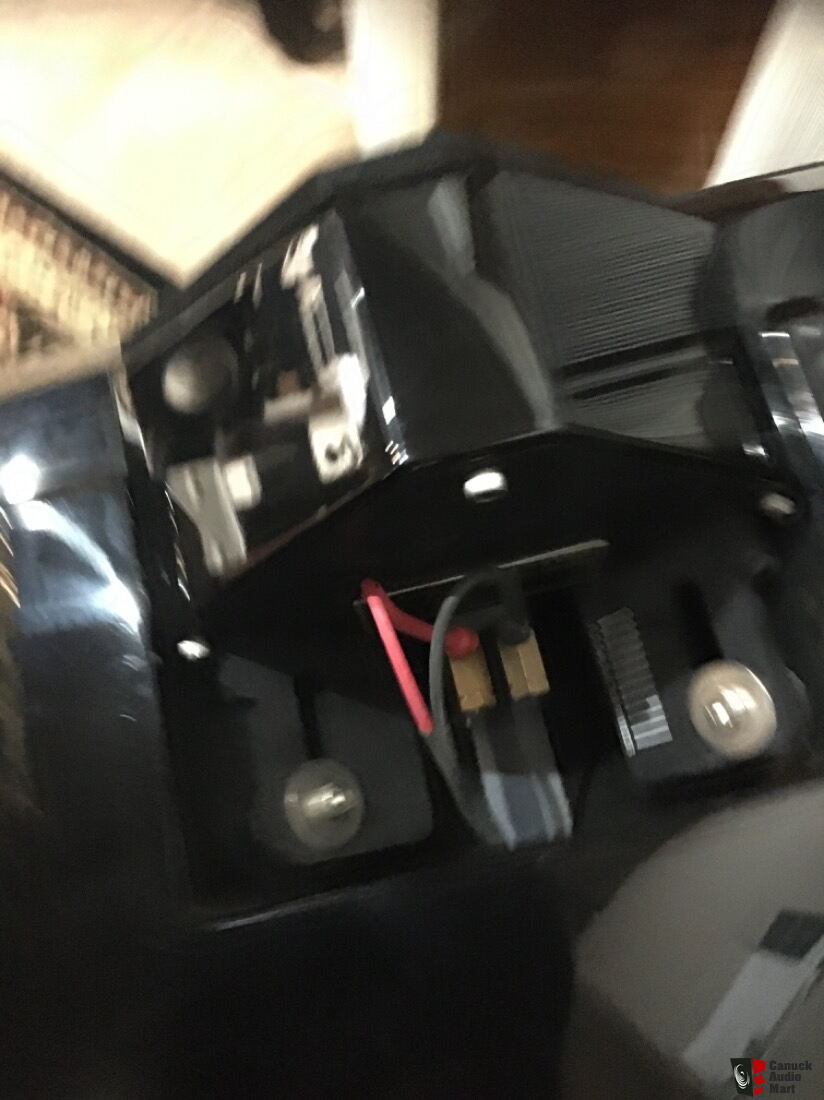 Wilson Audio center Photo #2586197 - UK Audio Mart