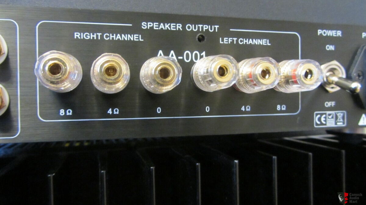 Analog Acoustics AA-001 8 watt tube amplifier Photo #2604104 - Canuck ...