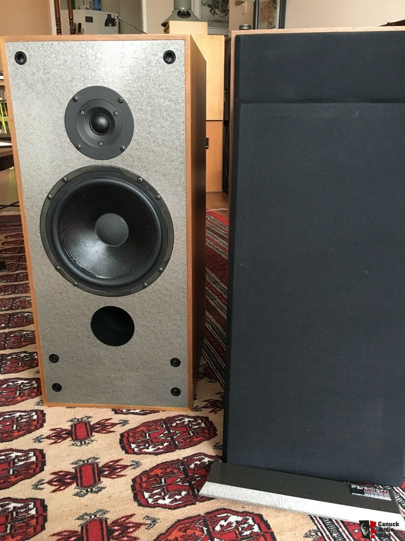 Paradigm Export Monitor Speakers Photo #2606284 - Canuck Audio Mart