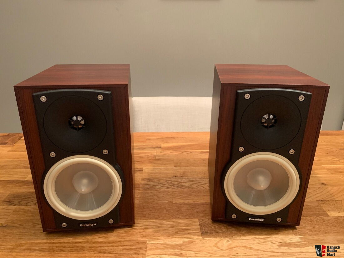 Paradigm Atom v6 in rosenut finish - balanced and dynamic sound from ...