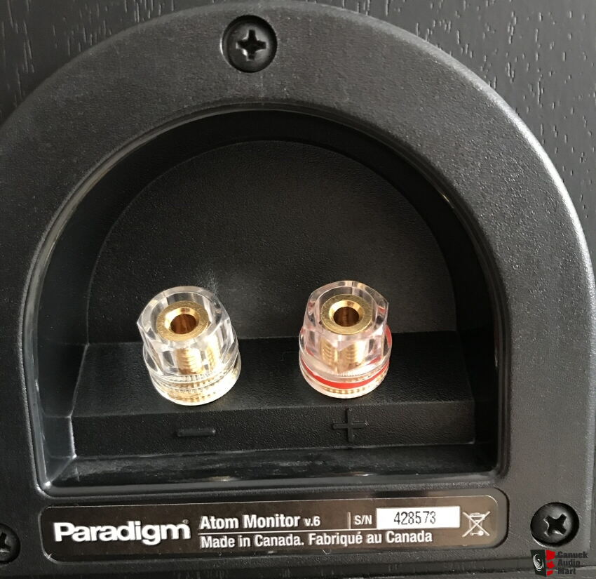 Paradigm Atom Monitor v6 - Black Ash Photo #2613288 - Canuck Audio Mart