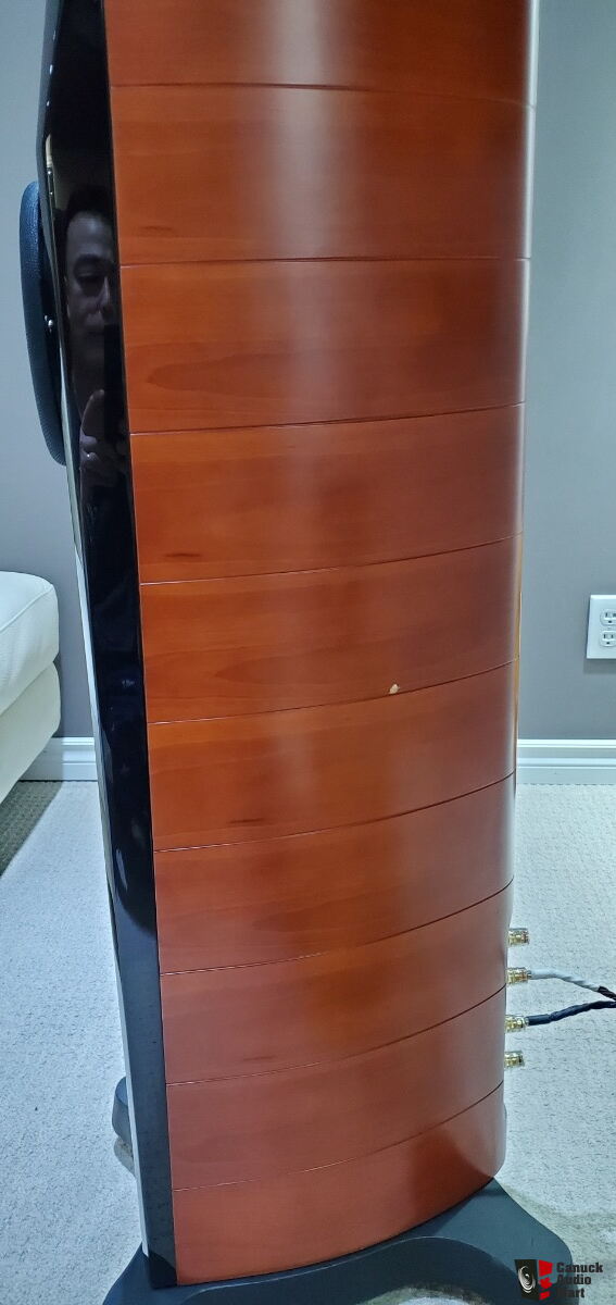 Usher Mini Dancer One DMD Tweeters Photo #2617448 - Canuck Audio Mart