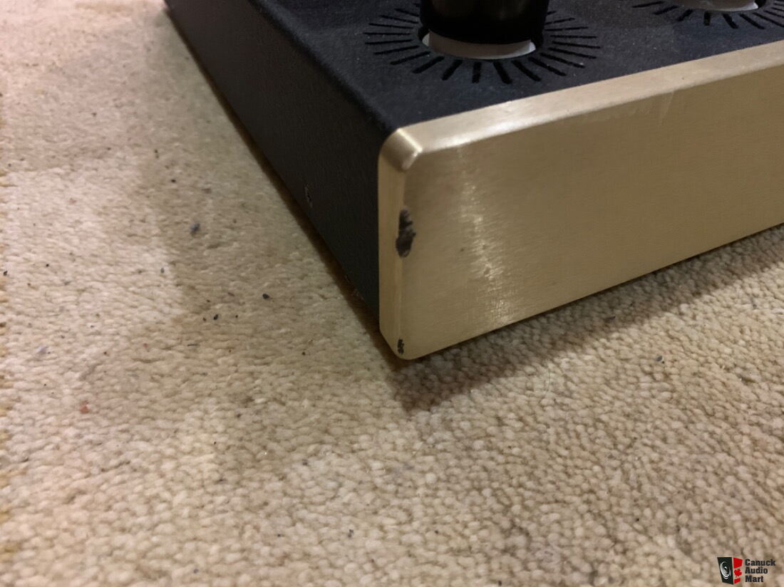 Golden Tube Audio SE-300BII Photo #2636313 - Canuck Audio Mart