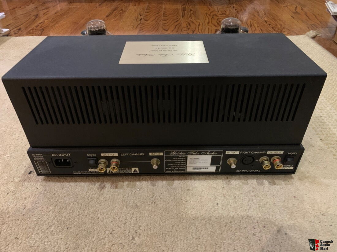 Golden Tube Audio SE-300BII Photo #2636313 - Canuck Audio Mart