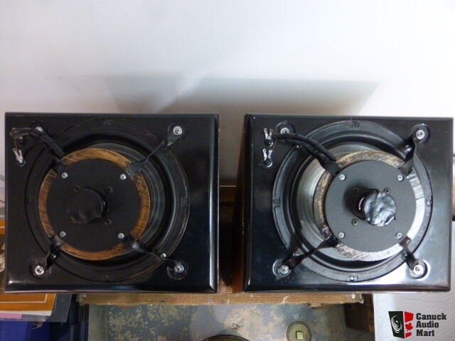 Morrison Speakers Photo #2647271 - Canuck Audio Mart